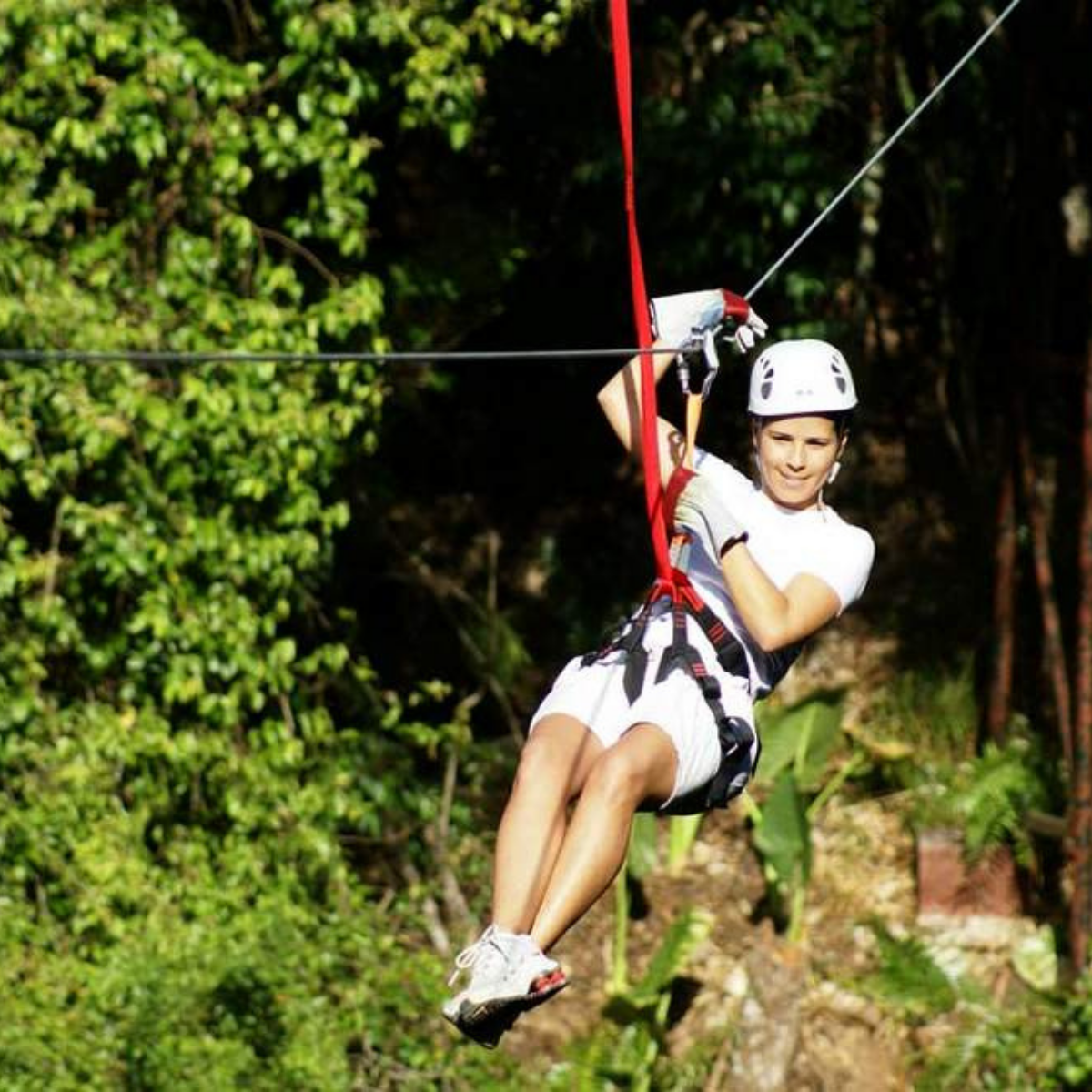 Zipline & monkey - Sun Loisirs